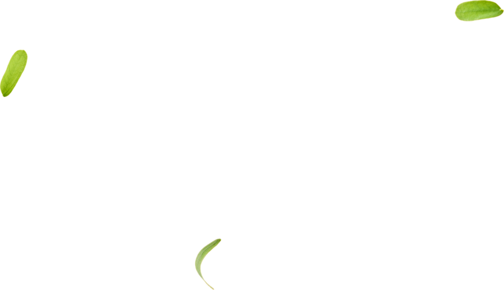 About Us - Tama-Roca